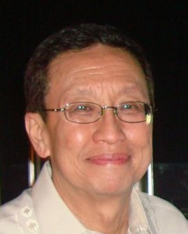 ALsons Consolidated Resources - Power and Energy | Real Estate ...